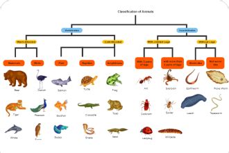 Phylogenetic Tree Figure Maker Gaye Dodd