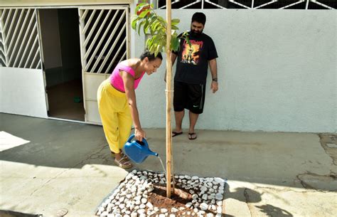 Programa Pé de Árvore planta 1 375 novas mudas em Jundiaí
