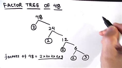 How To Draw Factor Tree Of Factor Tree Method Of Factorization