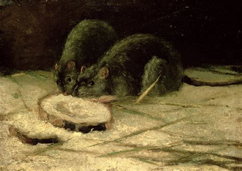 Zwei Ratten C Von Vincent Van Gogh Kunstdruck
