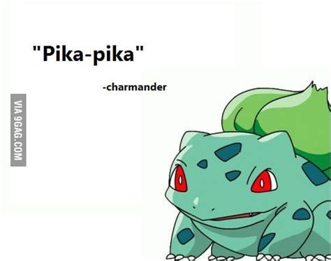 Just Squirtle 9GAG