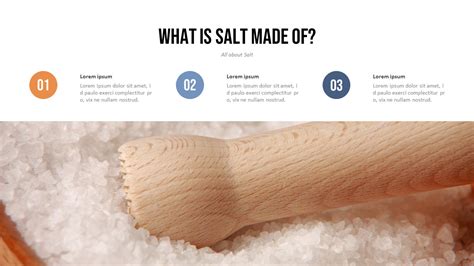 Sea Salt PPT PowerPoint Business Templates
