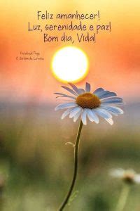 Bom Dia Fam Lia Frases E Mensagens Para Cultivar O Amor E A Uni O
