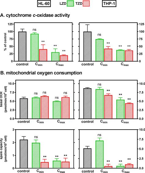 Changes In Cytochrome C Oxidase Activity A And Mitochondrial