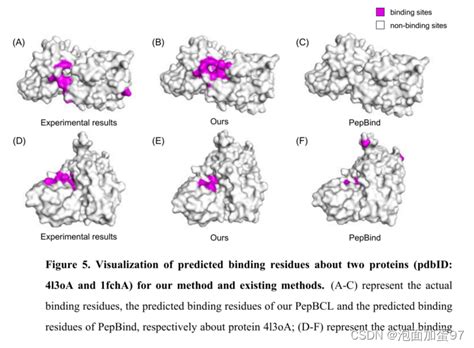 通过可解释的深度学习预测蛋白质 肽结合残基 predicting protein鈥損eptide binding residues via