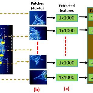The Work Flow For Extraction Of Deep Learning Features From Em Images