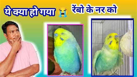 य कय हव रब बजर क नर क रब मद पहल स बमर और अब नर भ