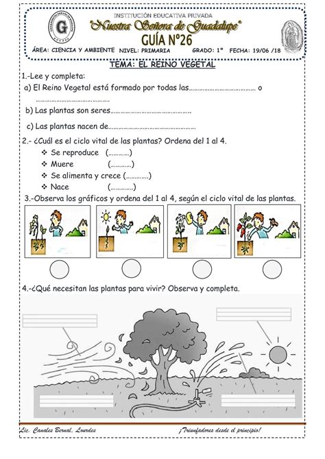 Calaméo El Reino Vegetal 26