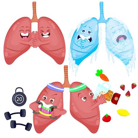 Los Pulmones Vector Premium