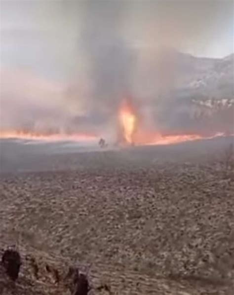 Tornado Api Bromo Di Tengah Kebakaran Bukit Teletubbies