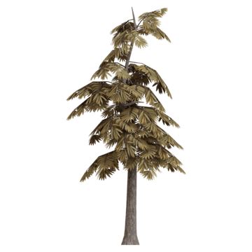 Cartoon Forest Tree Transparent PNG Vector PSD And Clipart With