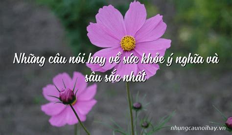 DANH NGÔN VỀ SỨC KHOẺ