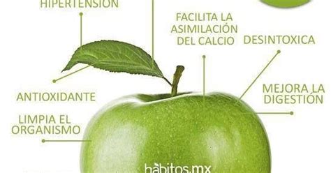 Infografias Beneficios De La Manzana