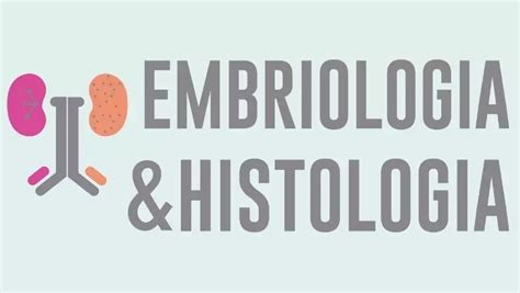 Av De Histologia E Embriologia Histologia E Embriologia De Sistemas