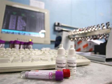 Sus Passa A Oferecer Testes R Pidos Para Dengue E Chikungunya Jornal