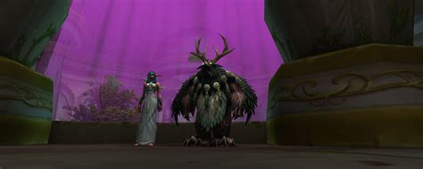 TBC Classic Druid Guides Warcraft Tavern
