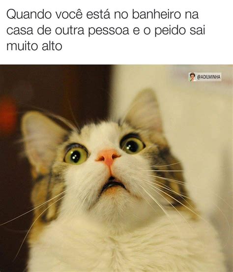 Quando você está no banheiro na casa de outra pessoa e o peido sai