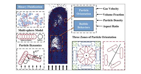 Bubble Dynamics And Particle Orientation In A Binary Fluidized Bed