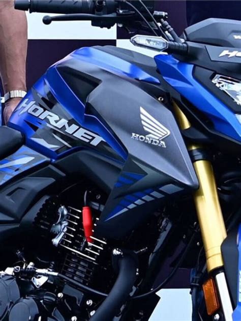 Nova Honda Hornet 160 2024 No Brasil TGMotos