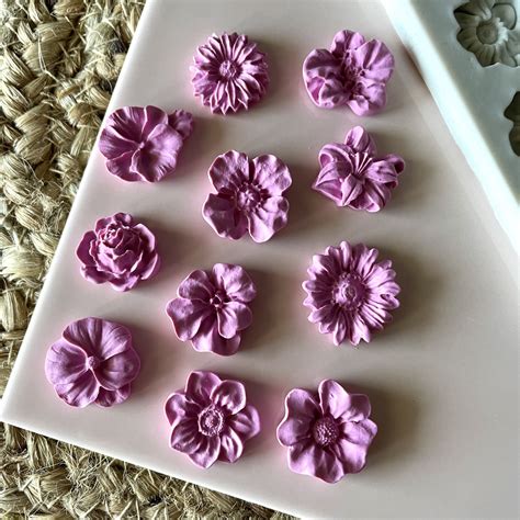 Molde De Silicone Mod 16 Bokwus Cutters