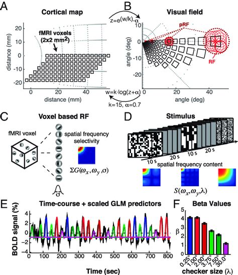 visual field backprojection of fmri voxels rf modeling approach and download scientific
