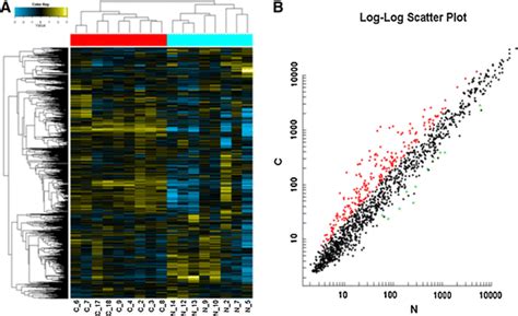 a clustering analysis of microarray data using mev software c download scientific diagram