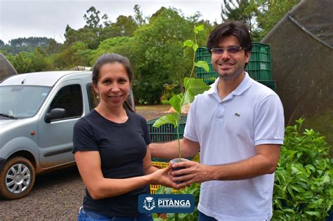 Entrega De Mudas De Maracuj Aos Produtores Rurais Prefeitura De Pitanga
