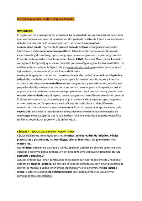 Sistema Inmunitario Tejidos Y Rganos Linfoides Udocz