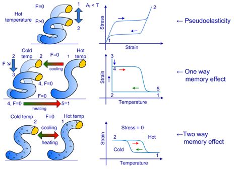 illustrative schematic demonstration of basic shape memory
