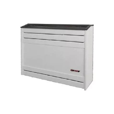 Calefactor Ctz T Tb P Calorias A Gas Tiro Balancead Color