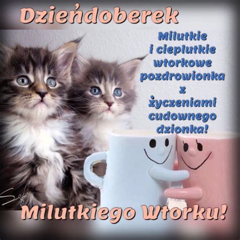 Ekartka Milutkiego Wtorku E Kartki Net Pl