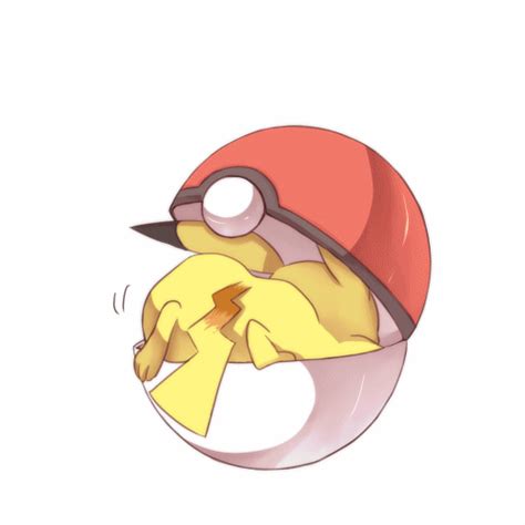 Like Seriously How Do They Do It Pikachu Cute Pikachu Cute Pokemon