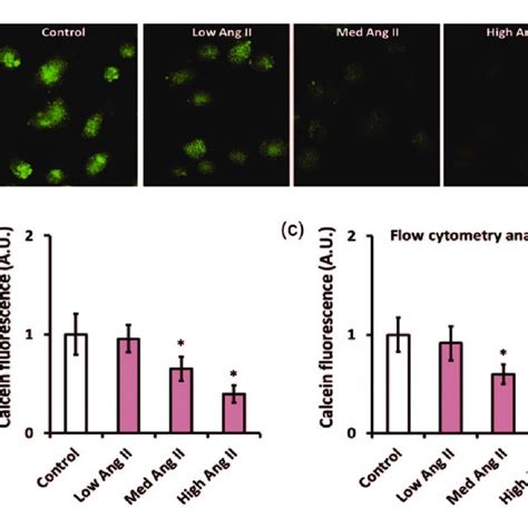 Opening Of Mitochondrial Permeability Transition Pore MPTP