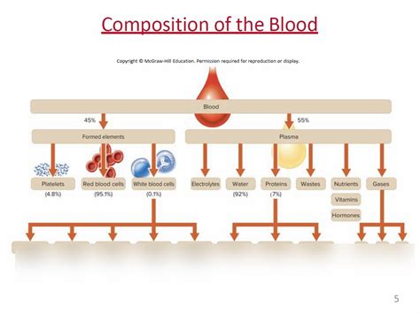 Composition Of The Blood Part 3 Diagram Quizlet