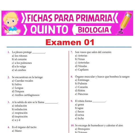 El Reino Plantae Para Quinto De Primaria Actividades Educativas 2022