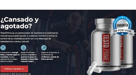 Como Aumentar La Testosterona R Pidamente Somos Madrid