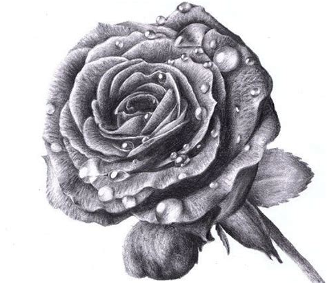 How To Draw A Dripping Rose Howto Draw