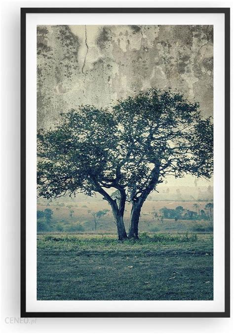 Arttor Obraz Plakat W Czarnej Ramie Do Salonu 61x91 Krajobraz Plakaty