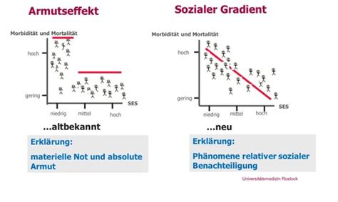 Sozio Konomischer Status Und Gesundheit Karteikarten Quizlet