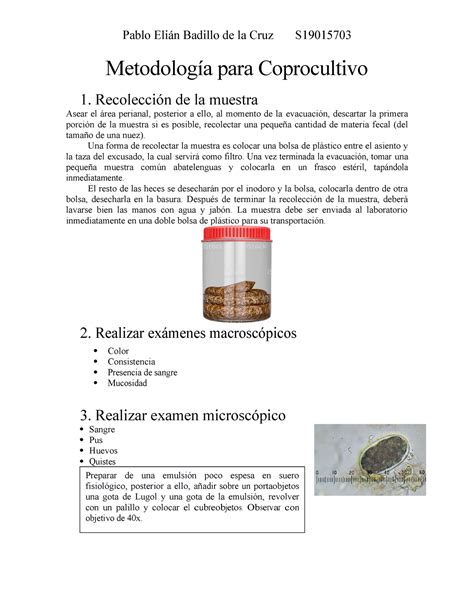 Metodología para Coprocultivo Recolección de la muestra Asear el área