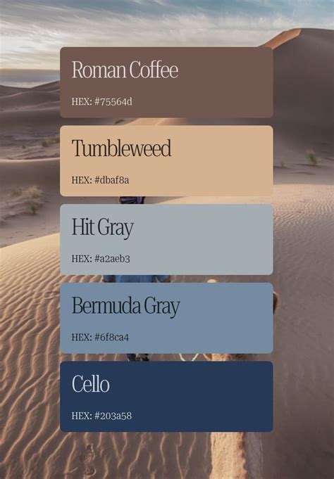 An Image Of The Desert With Different Colors And Names On It Including