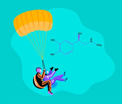 Adrenalina tudo o que você precisa saber Blog Jaleko