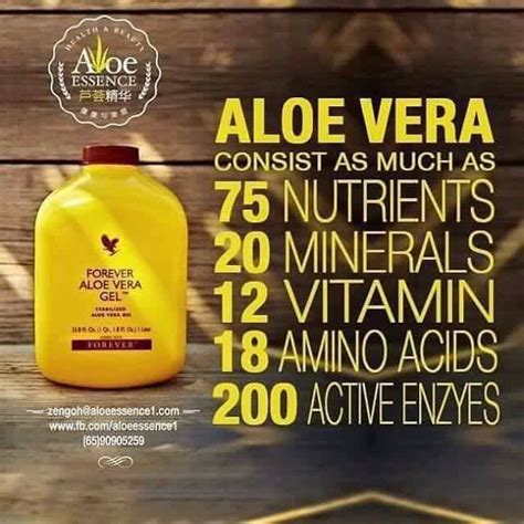 Forever Living Aloe Vera Gel Beauty Personal Care Bath Body Body