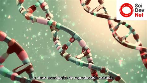 Cultura permisiva en uso de tecnologías de edición genética humana en