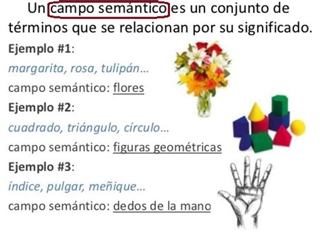 Ejemplo de campos semánticos