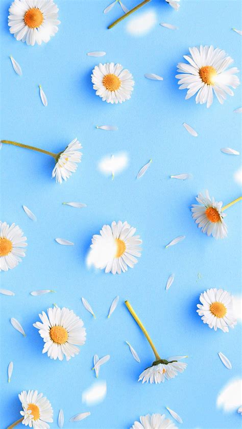 Choices Wallpaper Aesthetic Bunga Daisy You Can Save It Free