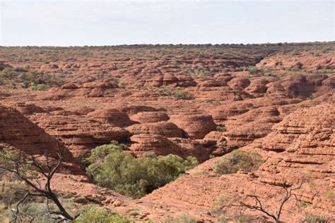 A Guide To The Kings Canyon Walking Trails Explore Shaw Atelier Yuwa