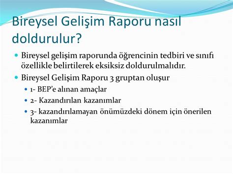 Ram raporu örneği
