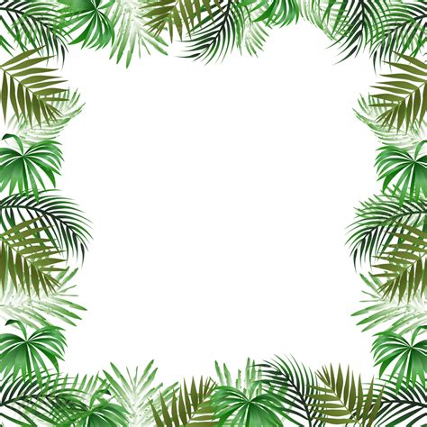 Tropical Palm Leaves Frame Isolated On White Background Vector Palm
