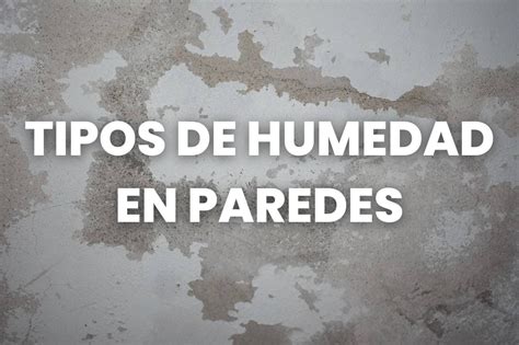 Tipos De Humedad En Paredes Soluci N Definitiva Sacosa